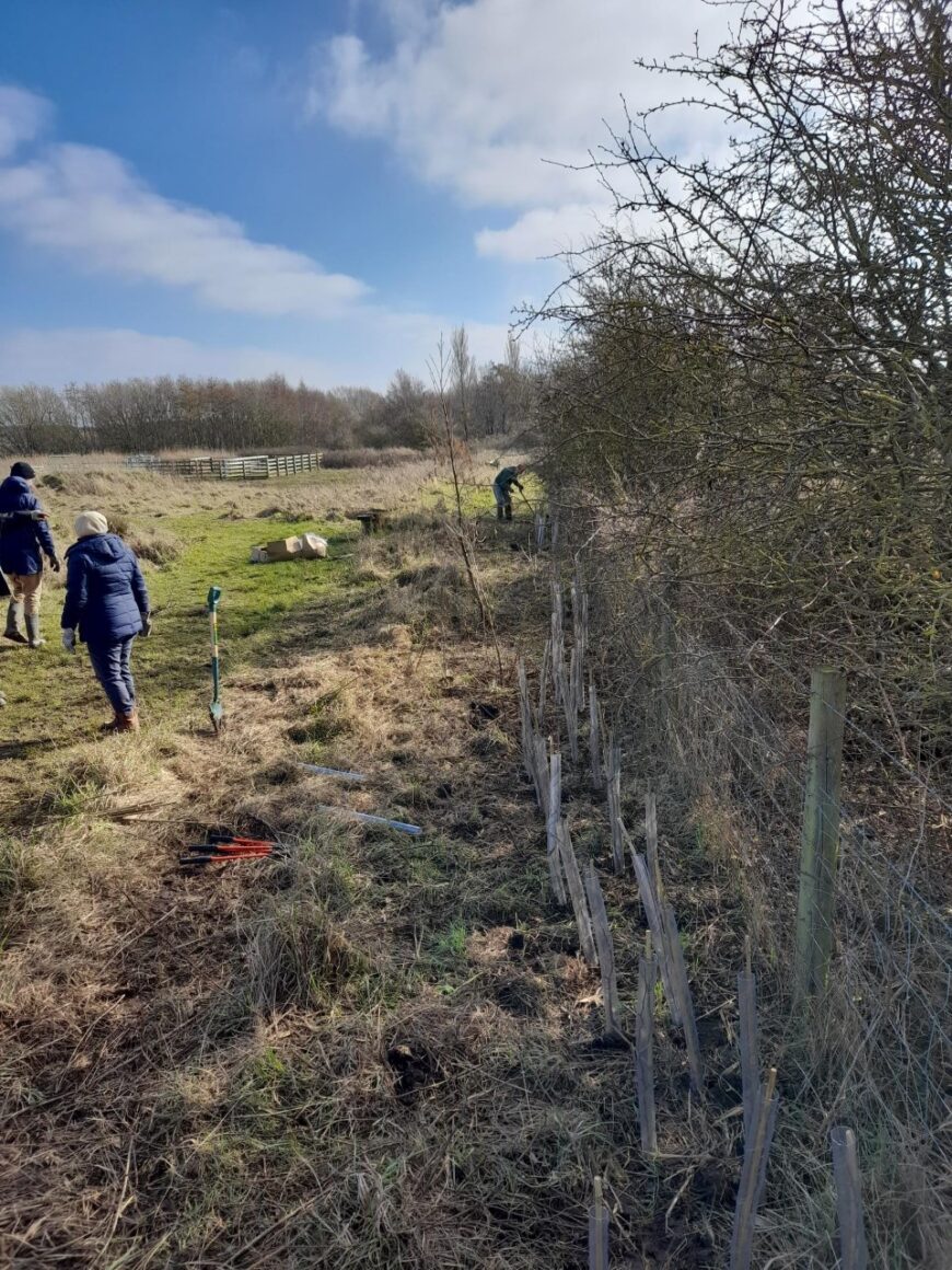 Wild Improvements on the way at Lunt Meadows - Biffa Award