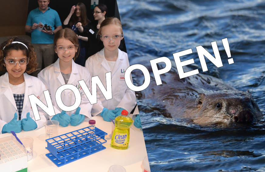 Home Page - Biffa Award