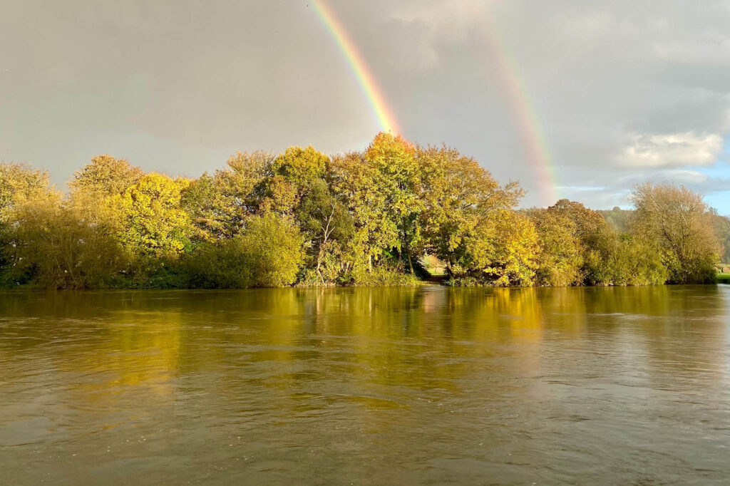 Home Page - Biffa Award